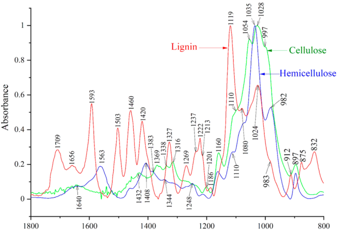 ACS Sustainable Chem. Eng.：植物细胞壁的纳米FTIR和纳米力学图谱分析有助于理解生物质解构 - 科技前沿 - 颗粒在线